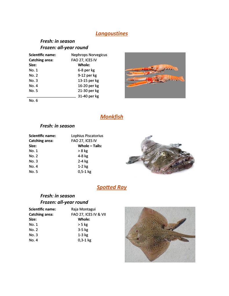 Products: fresh and frozen fish – Hollandfishandchips.com